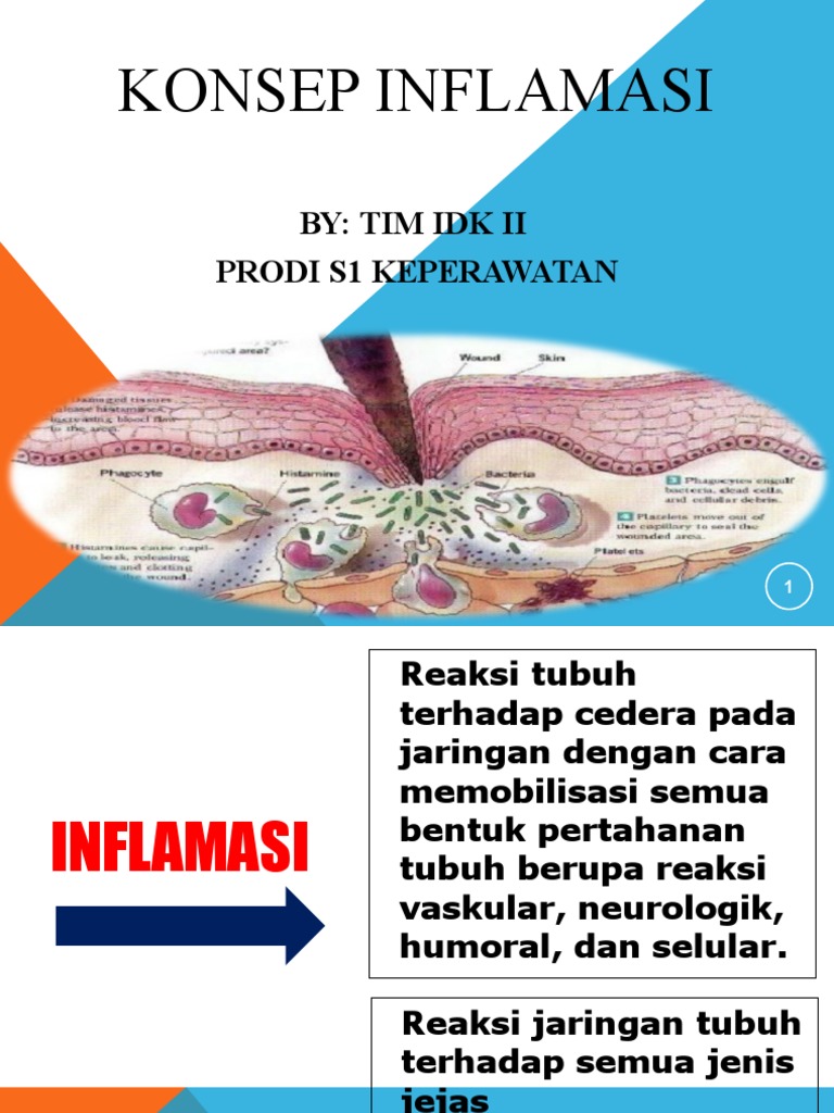 Konsep Inflamasi | PDF