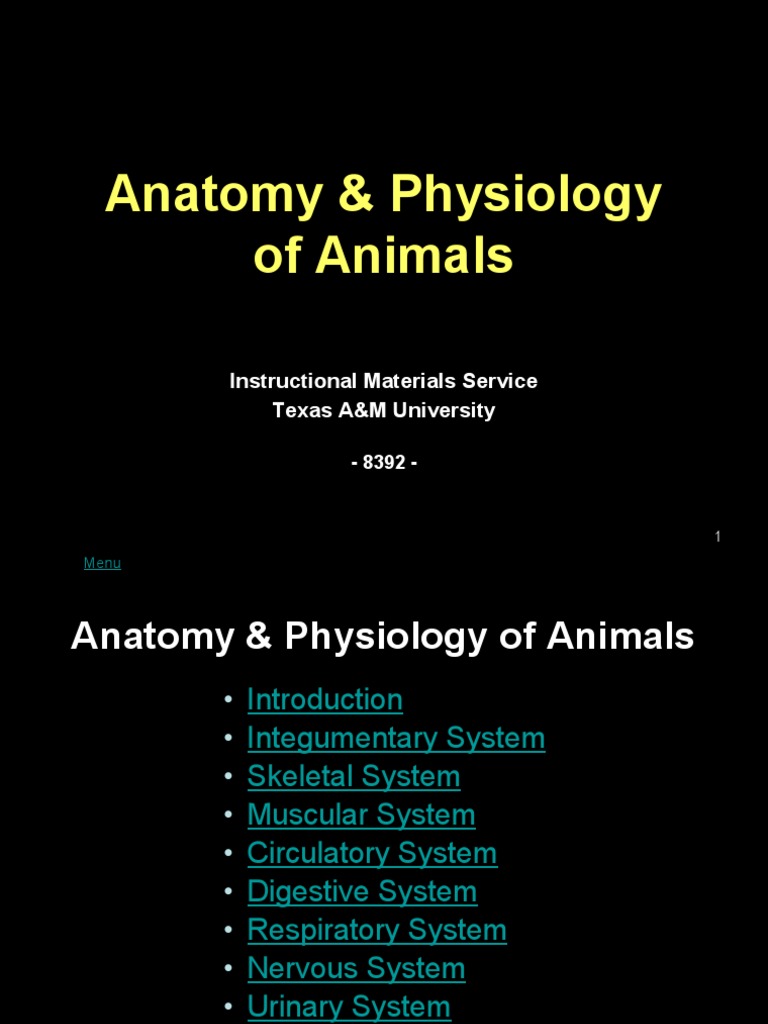 Anatomy and Phisiology Animals | PDF | Skin | Human Body