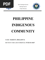 Visayas Ethnic Group | PDF | Cebu | Philippines