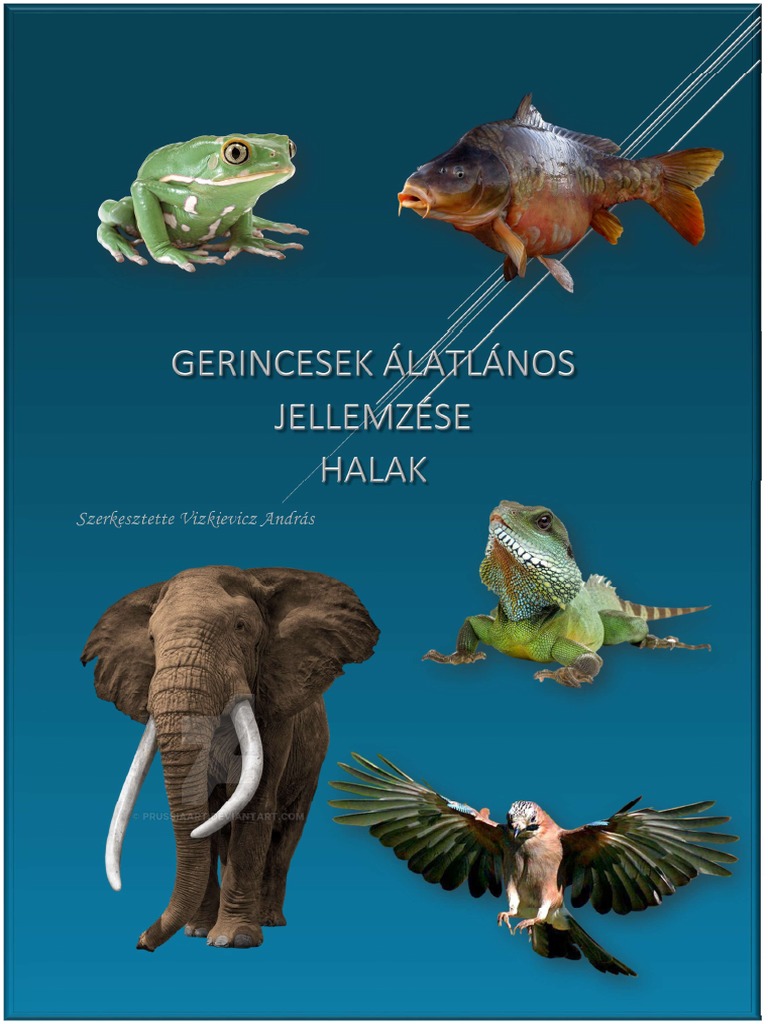 Halak Fakt PDF | PDF