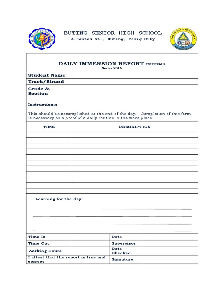 Daily Immersion Report | PDF