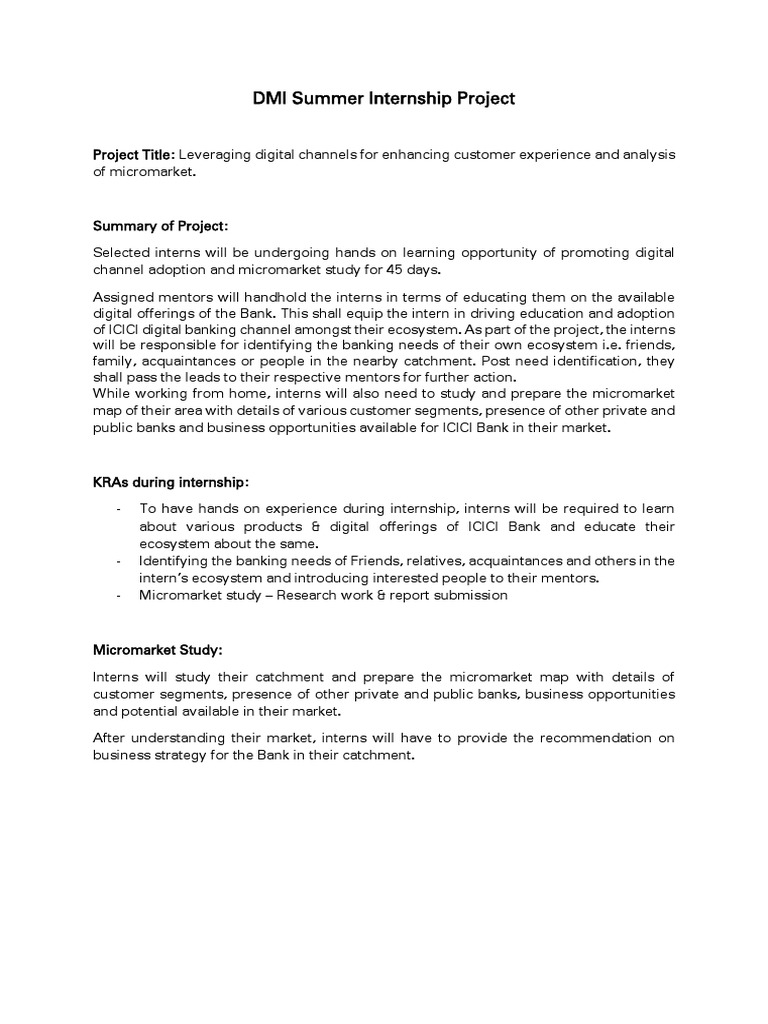 Summer Internship Project Brief | PDF | Mentorship | Strategic Management
