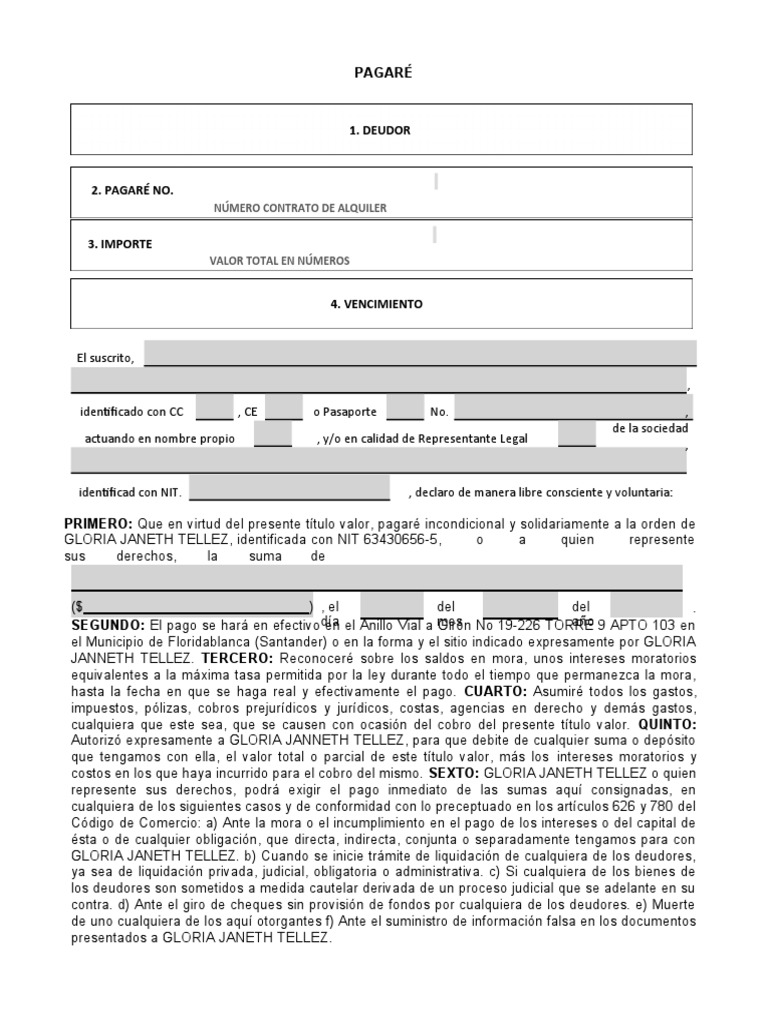 Pagaré & Carta de Instrucciones | PDF | Pagos | Gobierno