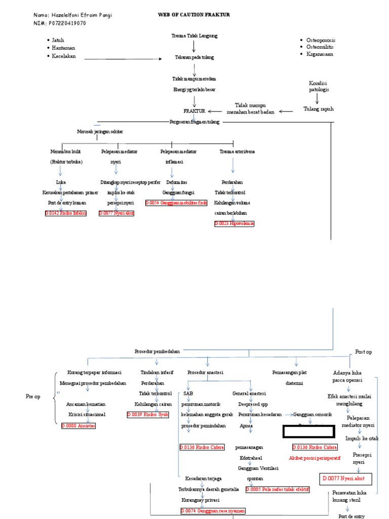 Woc Fraktur Sdki | PDF