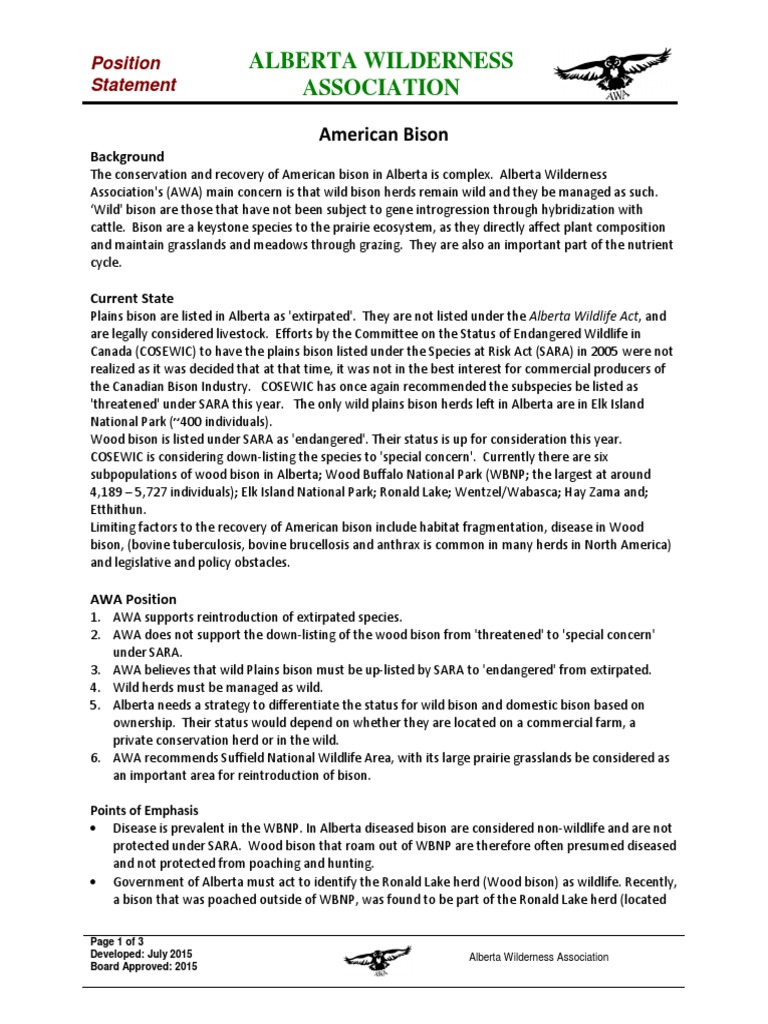 Alberta Wilderness Association: American Bison | PDF | American Bison ...