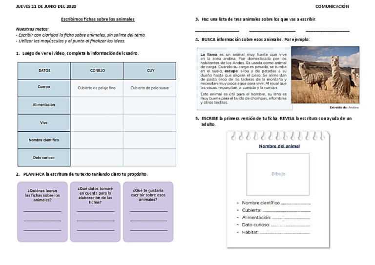 Guía para Escribir Fichas de Animales | PDF