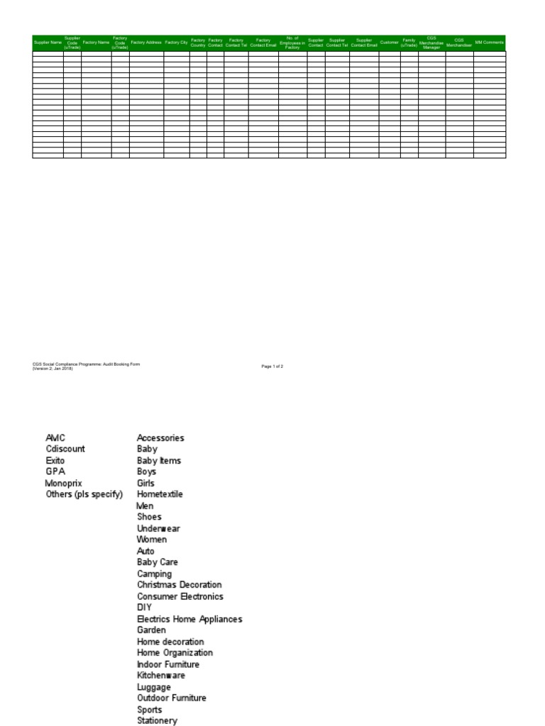 CGS Social Compliance Audit Form | PDF