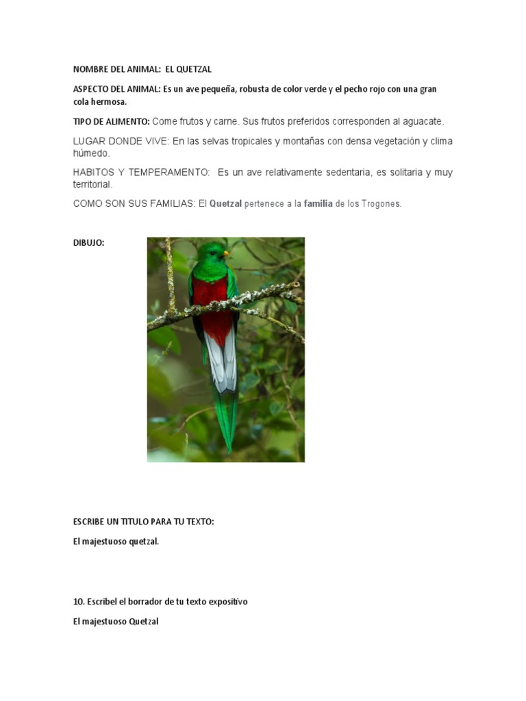 El Quetzal | PDF