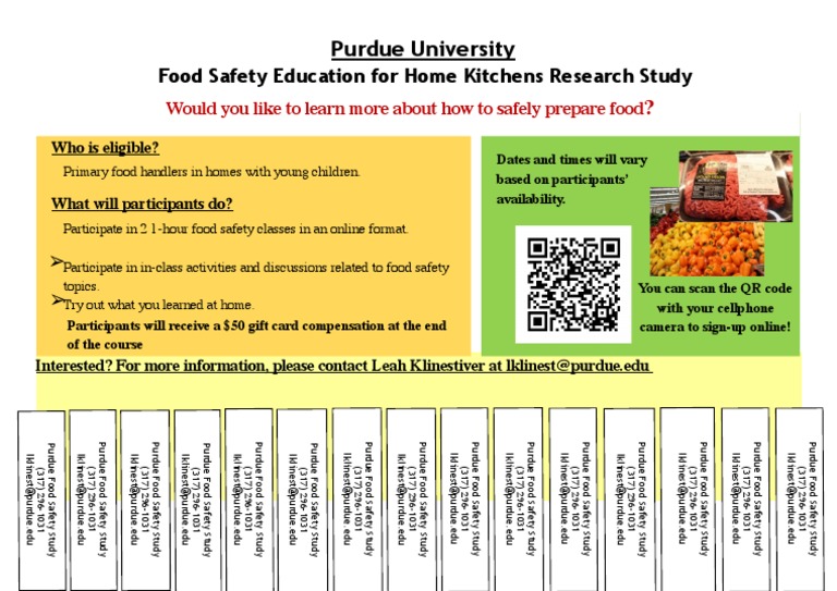 Food Safety Research Flyer | PDF