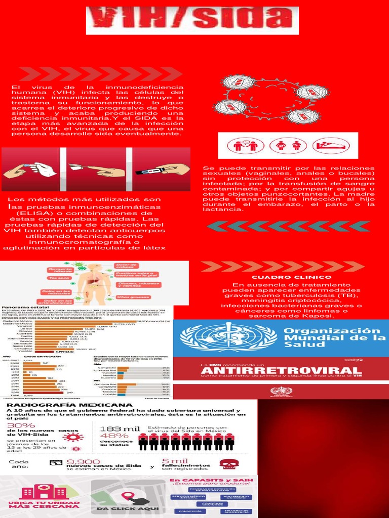 Infografia Vih | PDF