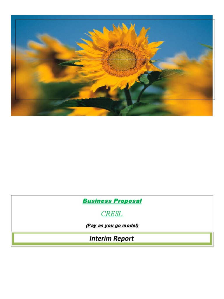 Business Proposal For Solar Energy Solution Business Plan Report | PDF ...