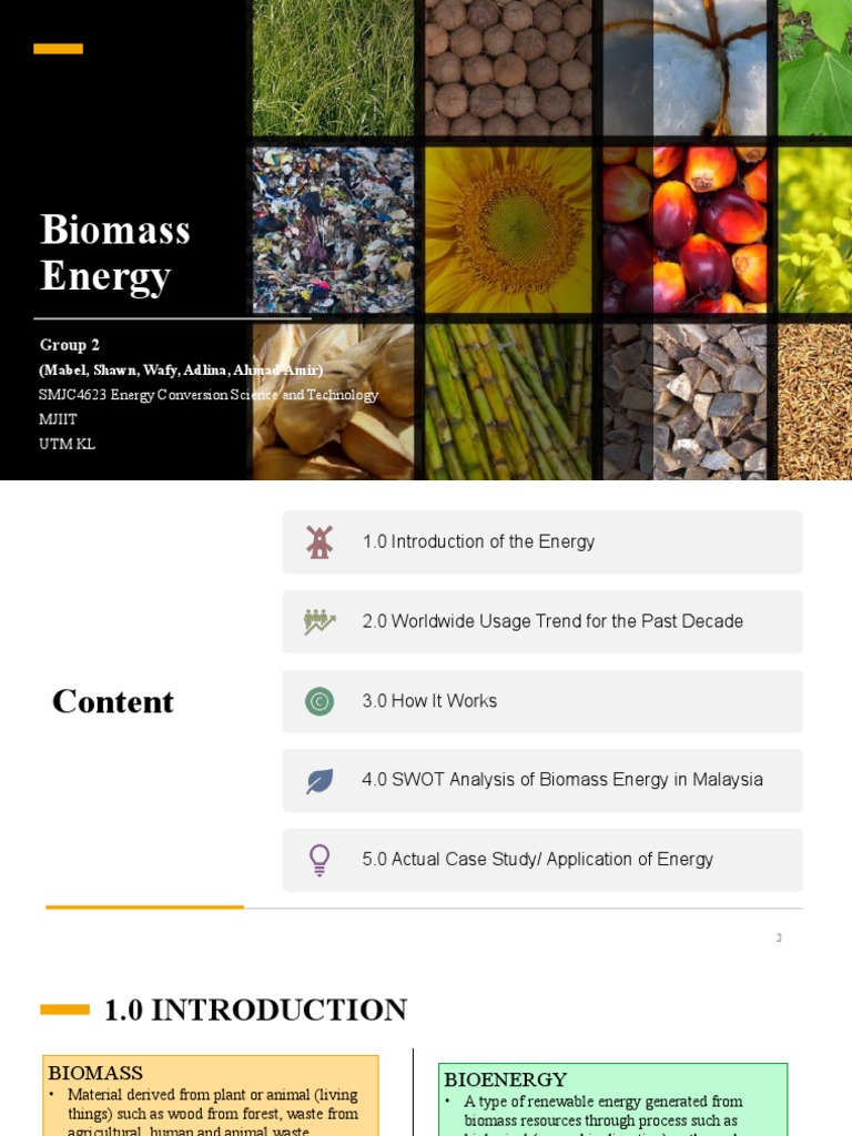Biomass Energy: Group 2 | PDF | Biomass | Biofuel