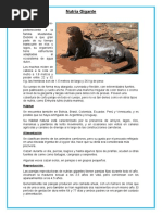Nutria Infografia | PDF | Nutria | Organismos