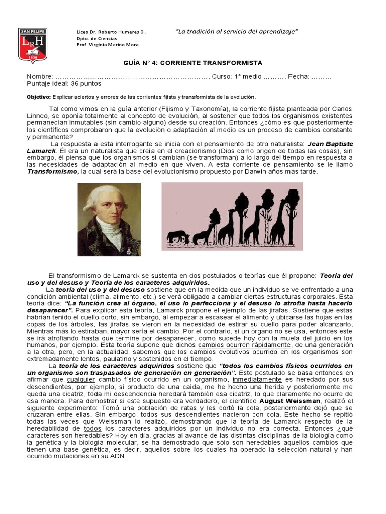 Guía 4, 1° Medio, Transformismo | PDF | Evolución | Conceptos biologicos