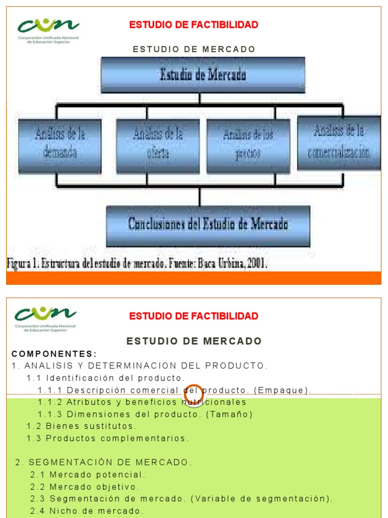 Estudio de Factibilidad | PDF | Producto (Negocio) | Mercado (economía)