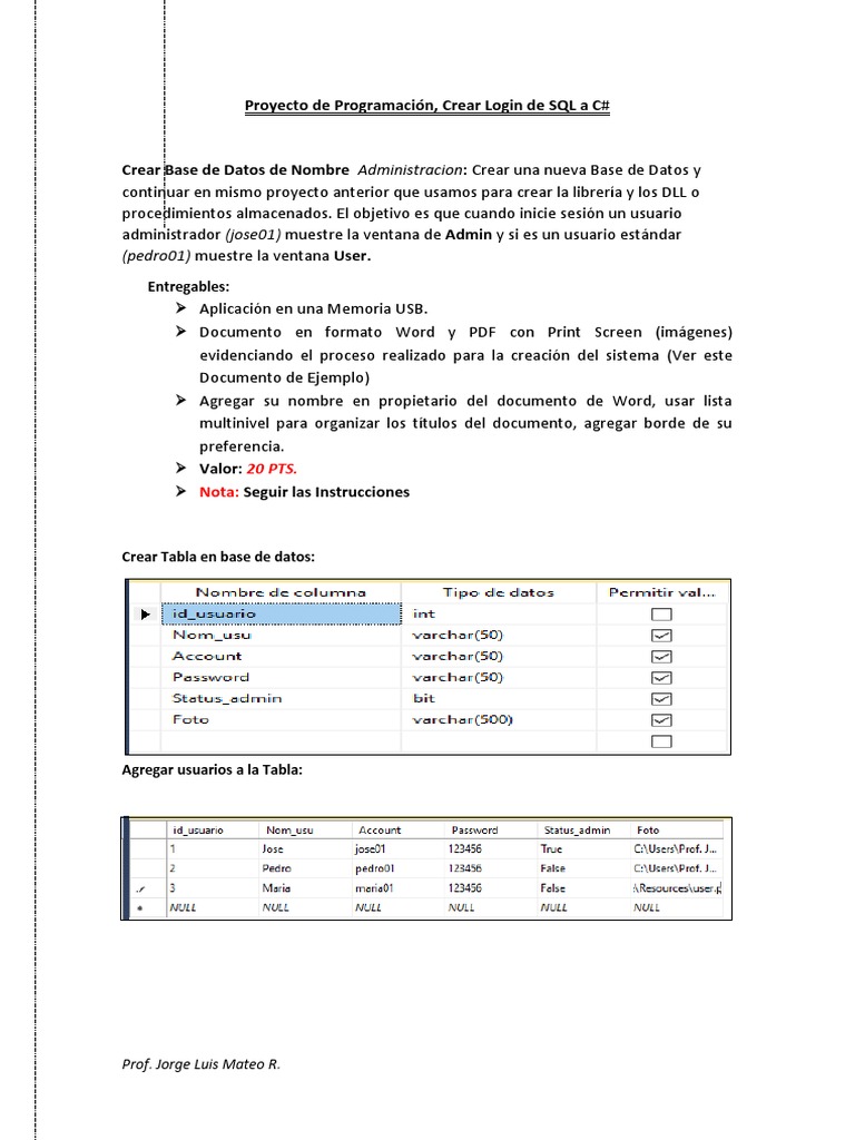 Practica de Programacion (Crear Login) | PDF