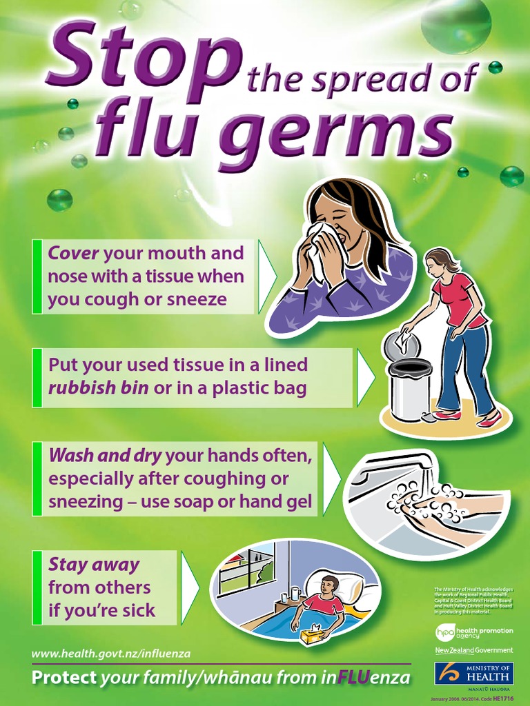 Influenza Prevention Guidelines | PDF | Wellness