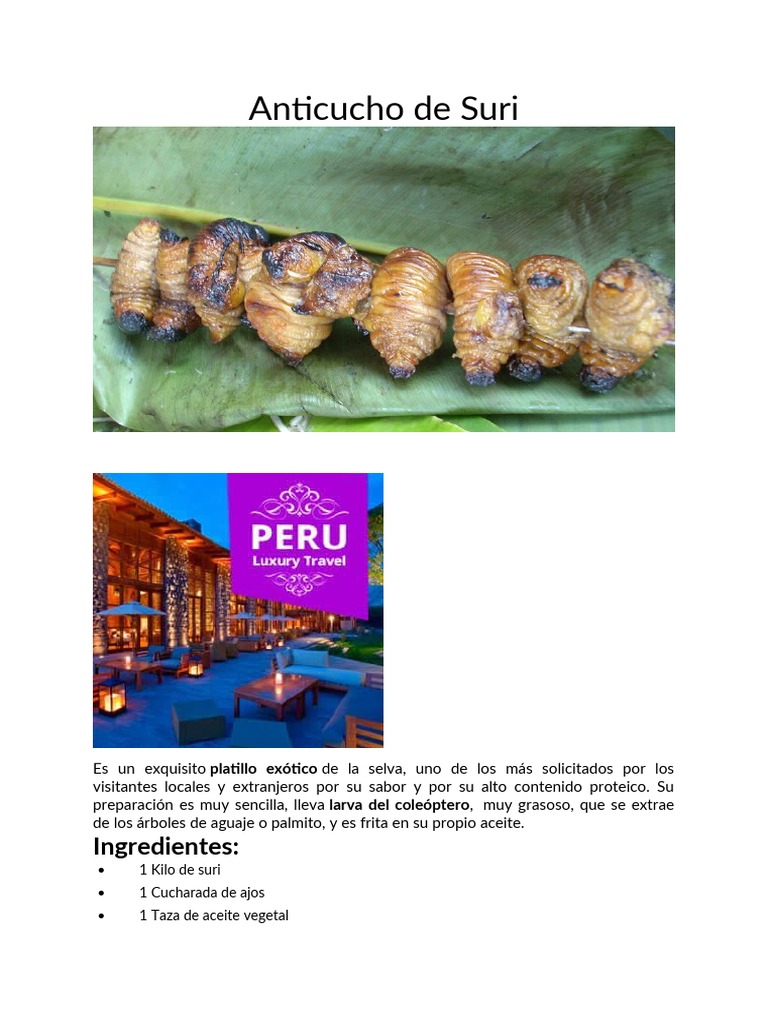 SURI | PDF | Perú | Alimentos