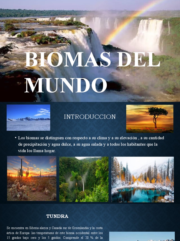 Biomas Del Mundo | PDF | Desierto | Clima templado