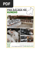 Pagbababuyan | PDF