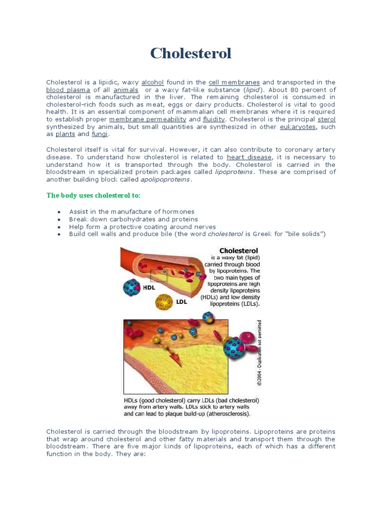 Cholesterol The Body Uses Cholesterol To Descargar Gratis Pdf