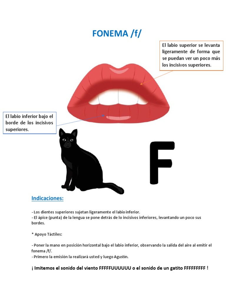 Articulación del fonema /f/ | PDF | Artes del Lenguaje y Comunicación