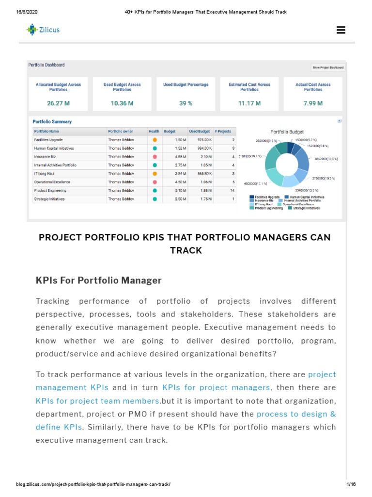 40+ KPIs For Portfolio Managers That Executive Management Should Track ...