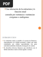 Fármacos Nefrotóxicos y su Manejo | PDF | Tratamientos médicos | Medicina