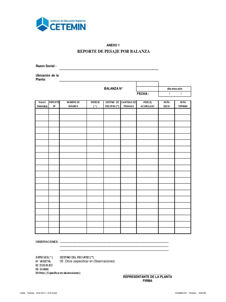 Formato Pesaje | PDF