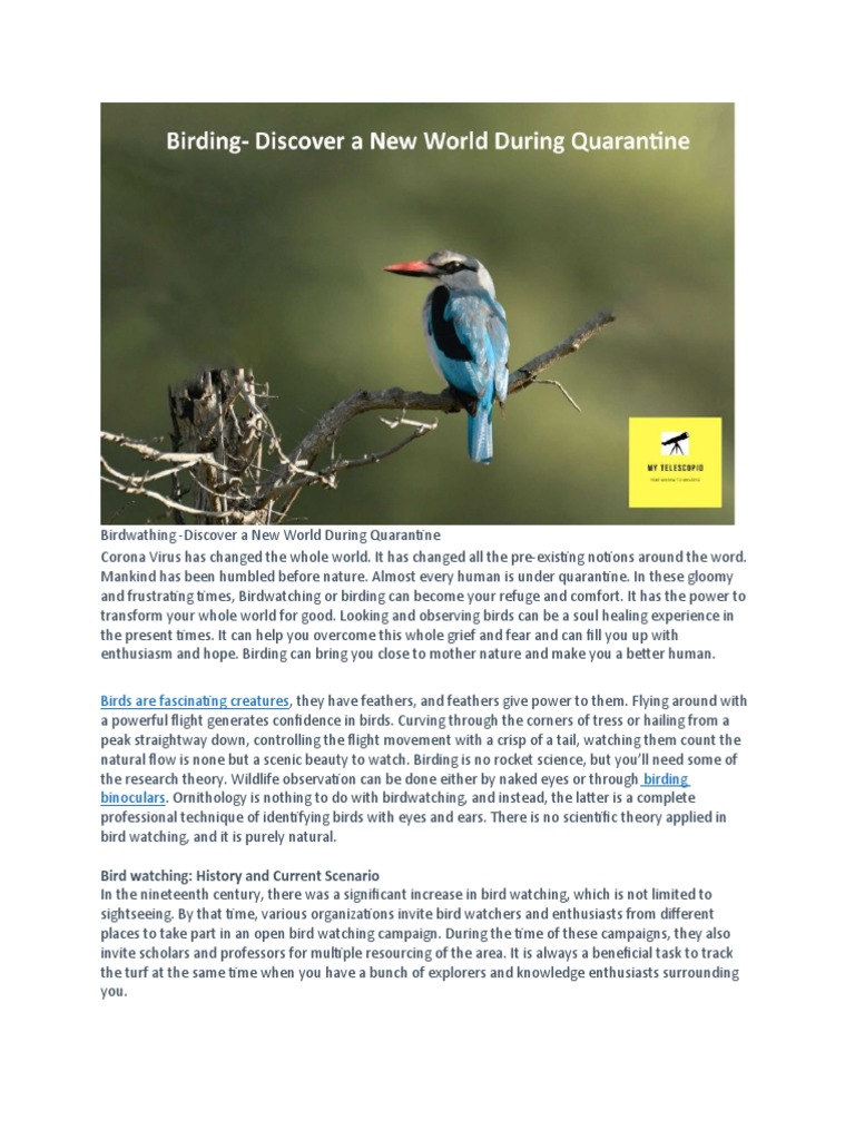 Birds Are Fascinating Creatures: Bird Watching: History and Current ...