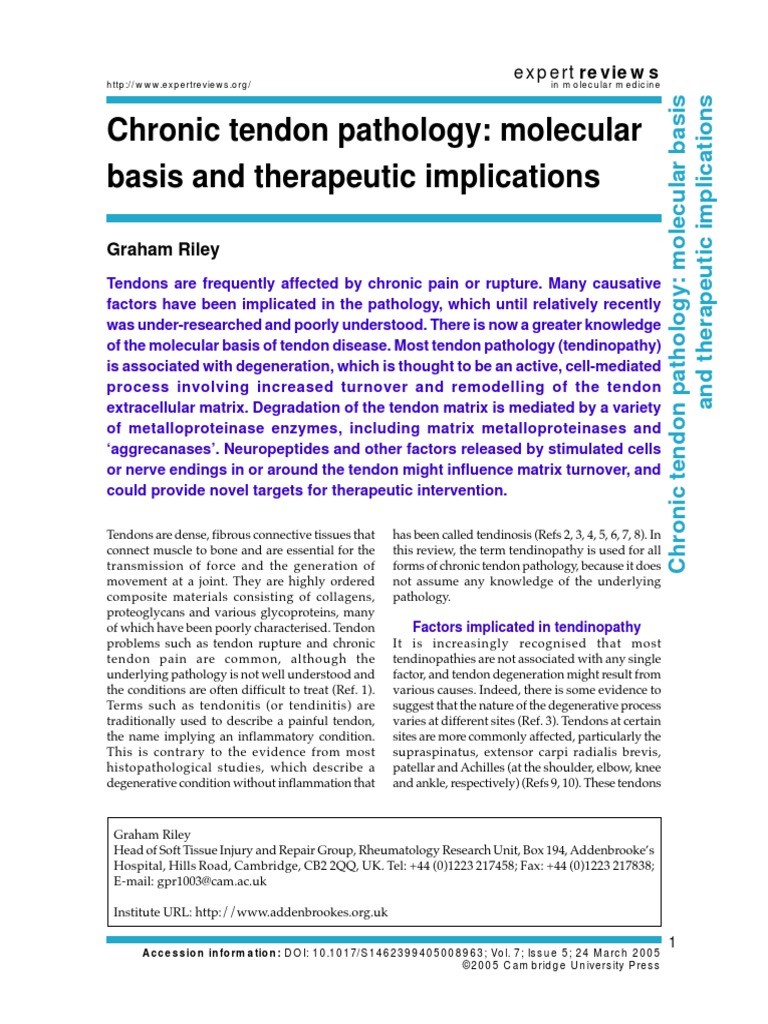 Chronic Tendon Pathology: Molecular Basis and Therapeutic Implications ...