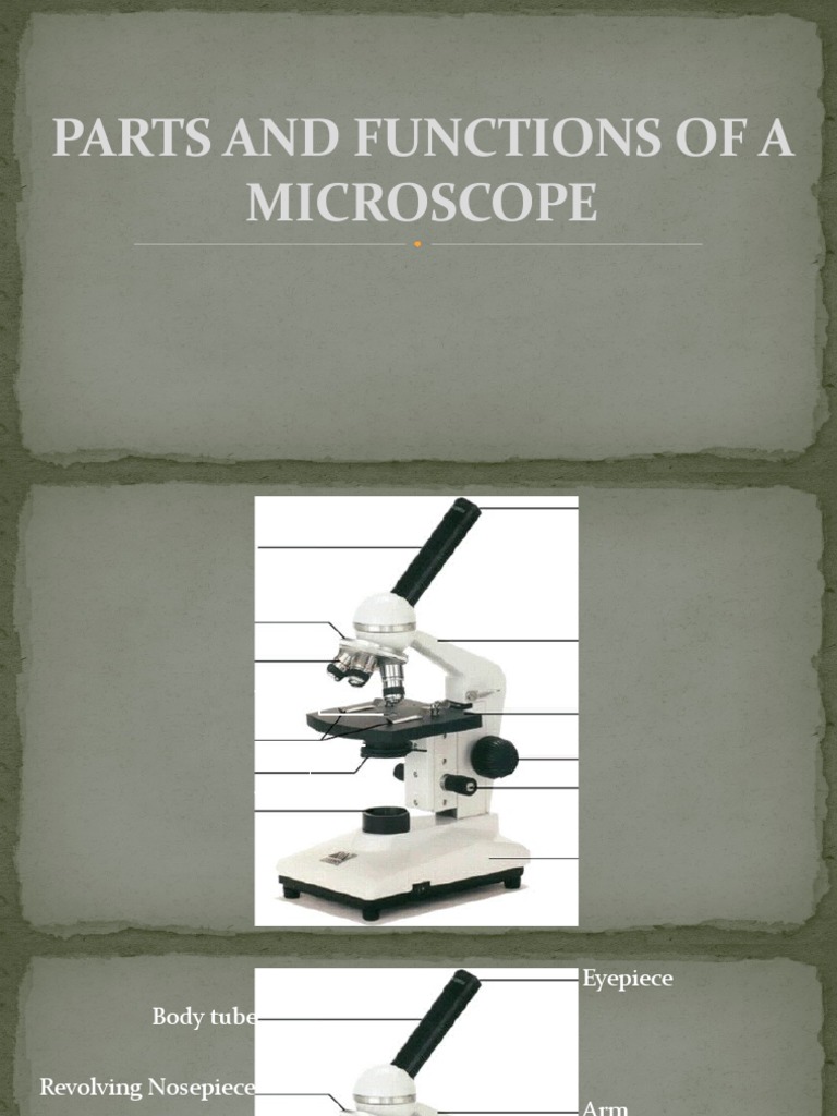 Parts and Functions of A Microscope 2019 | PDF | Microscopy | Glass ...