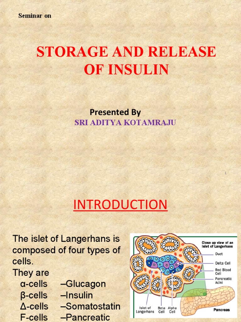 Insulin Storage and Release | PDF | Insulin | Molecular Biology