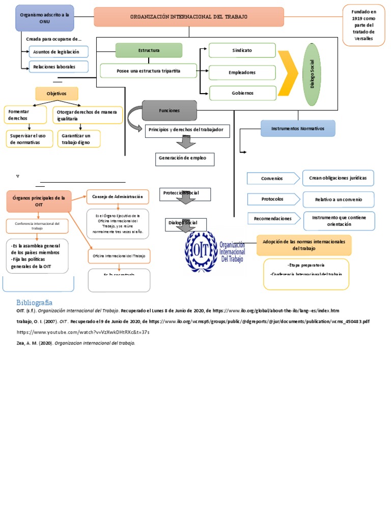 Organigrama Oit | PDF | Organización Internacional del Trabajo | Gobierno