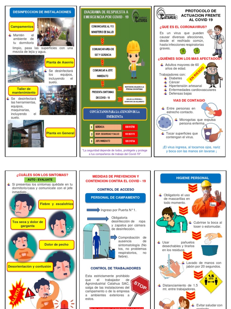 Triptico Covid PDF | PDF | Microbiología | Enfermedades y trastornos