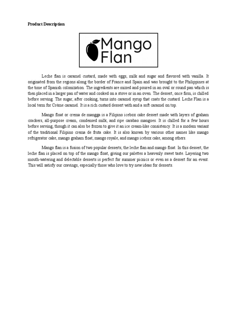 Product-Description Sample For Feasibility Study | PDF