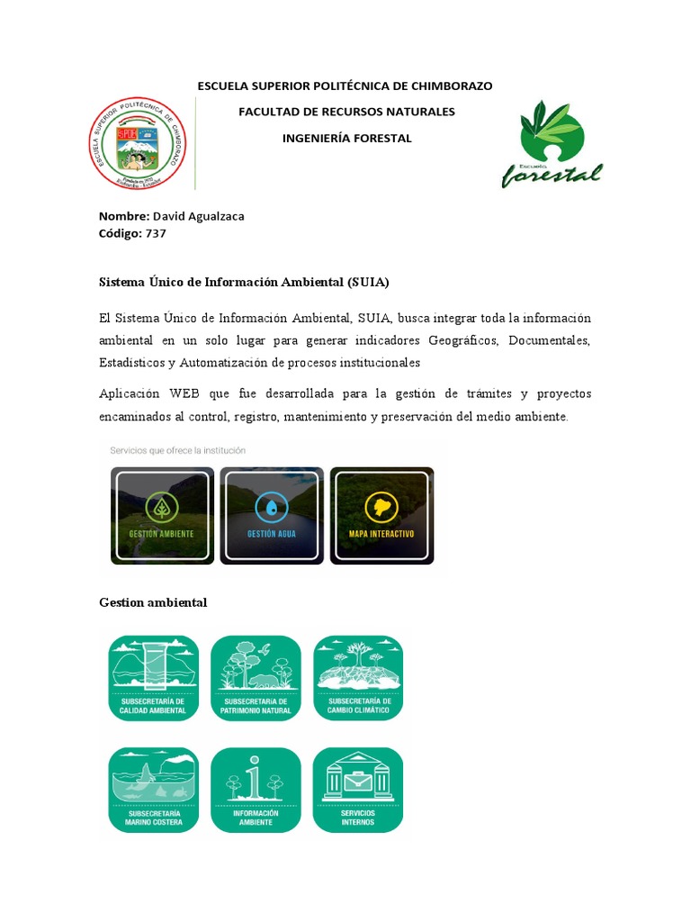 Sistema Único de Información Ambiental | PDF | Entorno natural ...