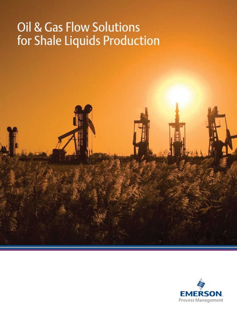 Oil & Gas Flow Solutions For Shale Liquids Production | PDF | Flow ...