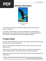 National Bald Eagle Management Guidelines | PDF | Bald Eagle | Endangered Species Act Of 1973