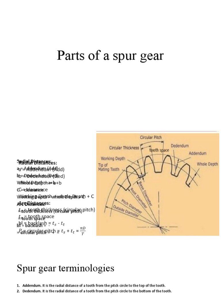 Parts of A Spur Gear | PDF | Gear | Circle