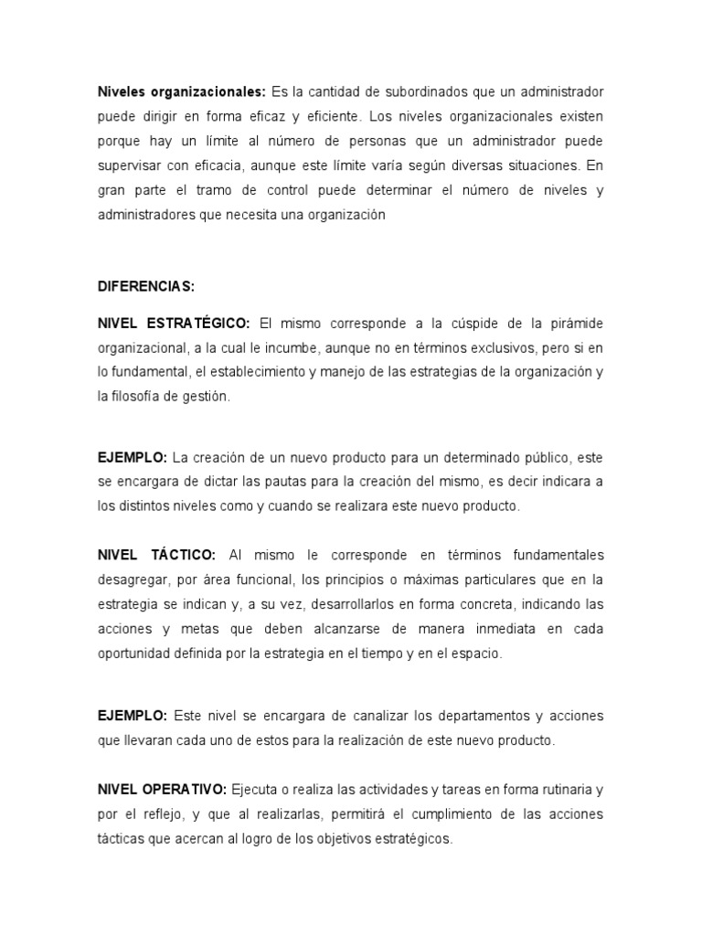 Niveles organizacionales en empresas | PDF | Business | Economias