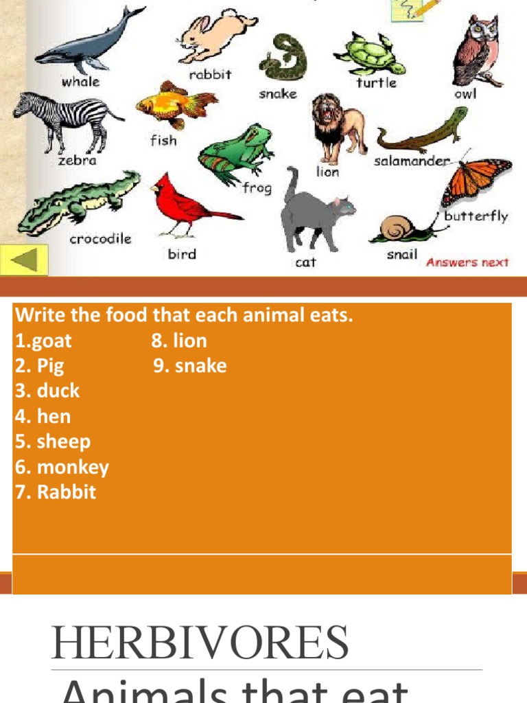 Animal Food Classification Chart | PDF | Science & Mathematics