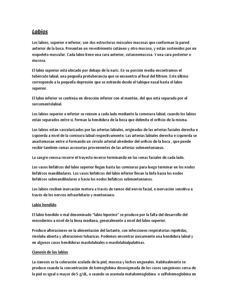 Anatomia | PDF | Labio | Anatomía humana