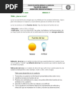 Actividades de Fuerza y Movimiento 3° Primaria | PDF