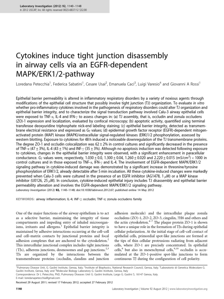 Petecchia 2012 | PDF | Extracellular Signal Regulated Kinases | Mitogen ...