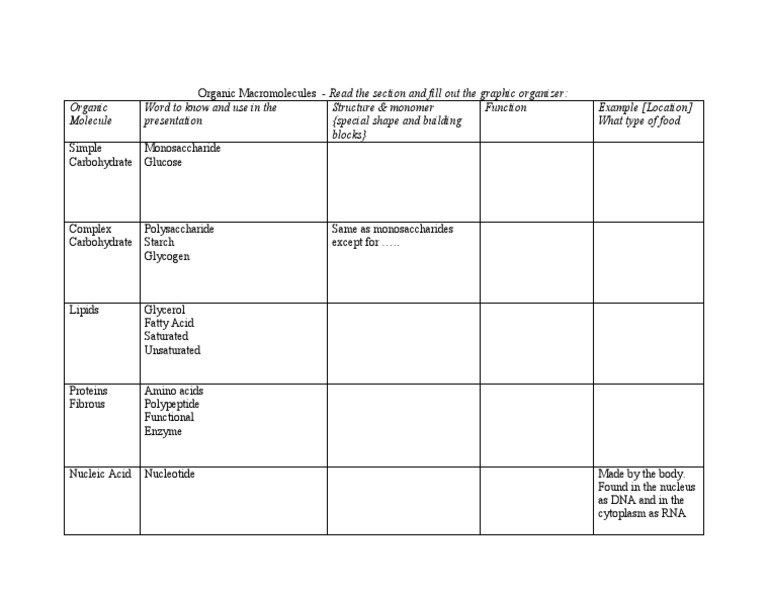 Organic Macromolecules-Graphic Organizer | PDF