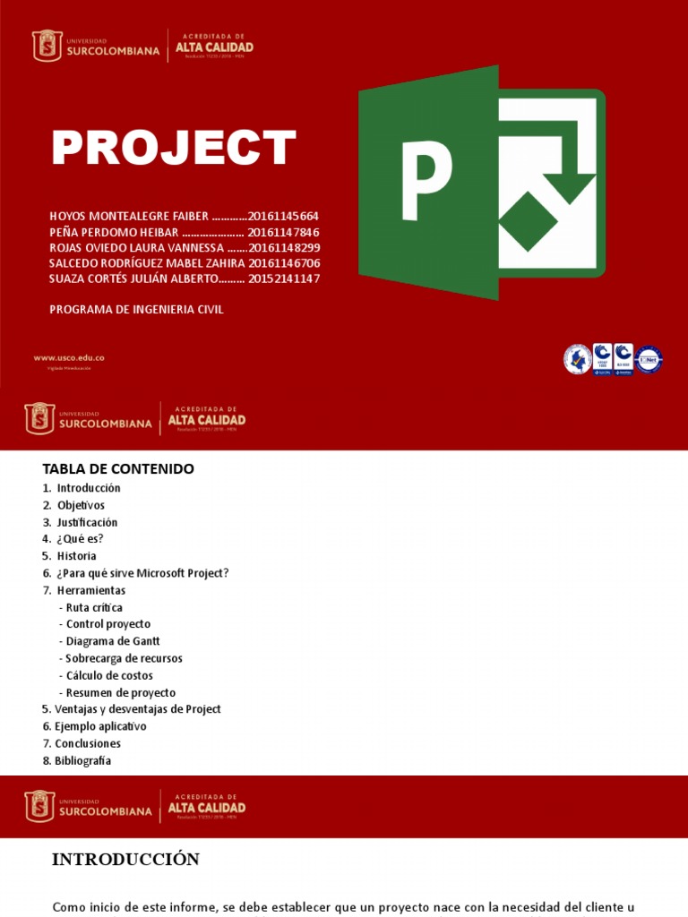 Microsoft Project | PDF | Software | Informática