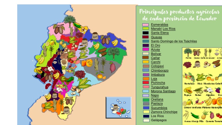 Flores - Cristian - Mi Primer Mapa | PDF