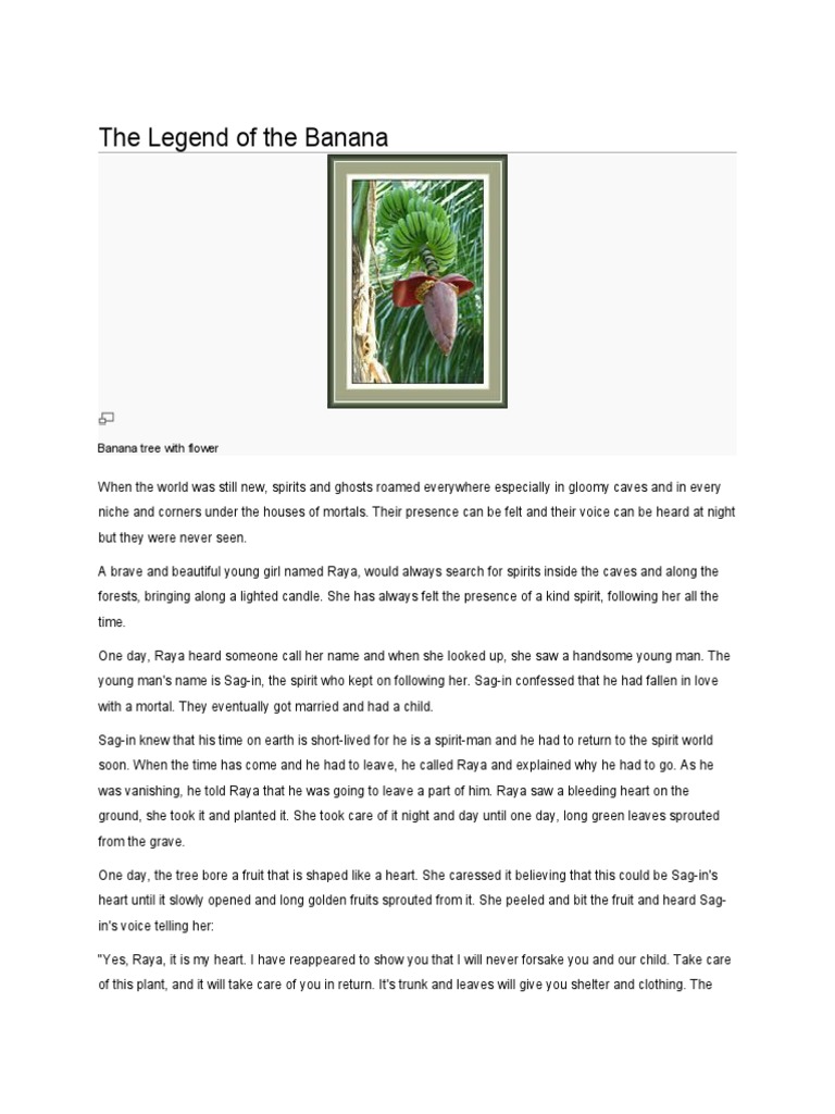 The Legend of The Banana: Banana Tree With Flower | PDF