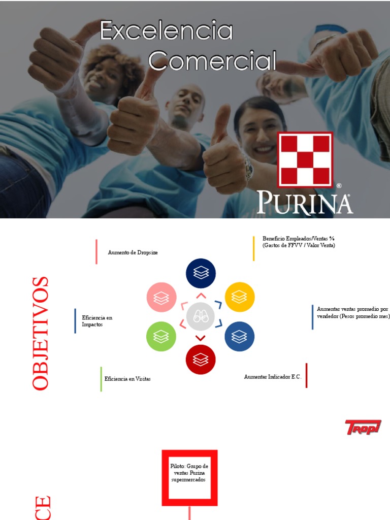 Excelencia Comercial | PDF | Cliente | Inventario